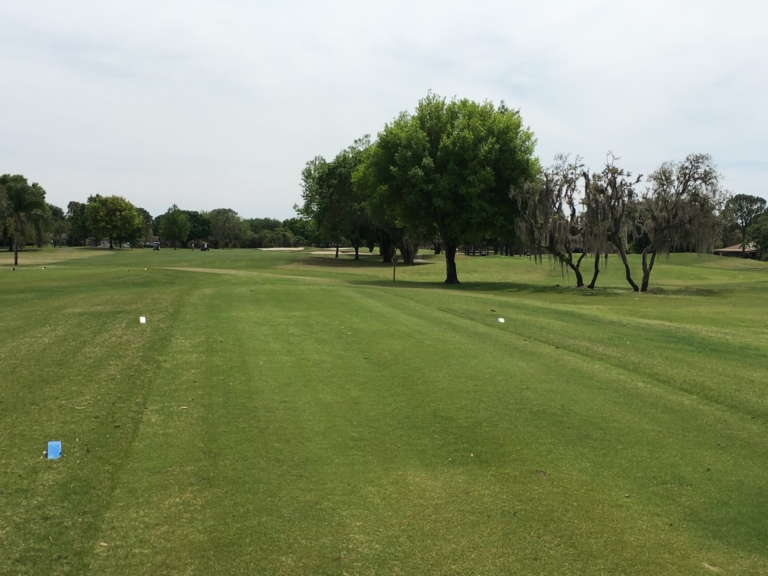 Golf Course - Golf Hammock Country Club